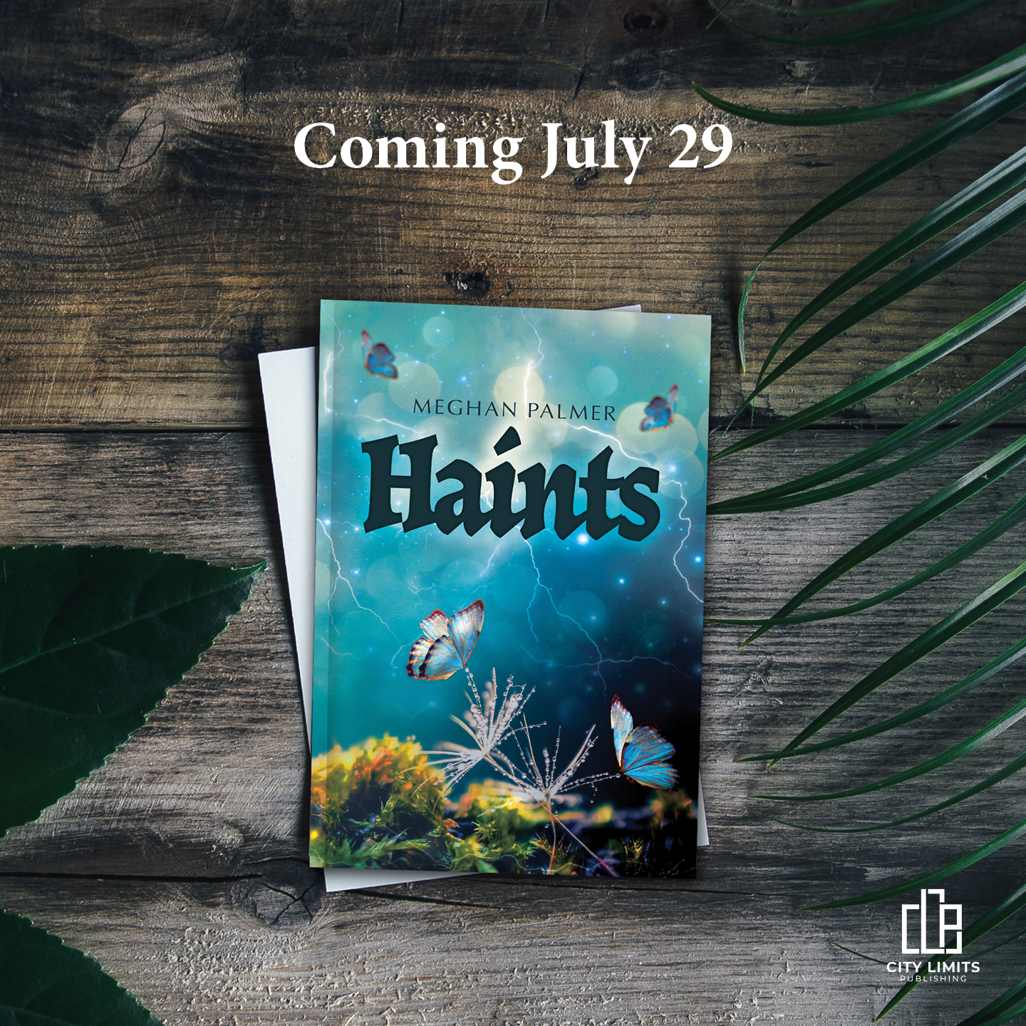Announcing My First Novel: Haints – meghanpalmerdotnet